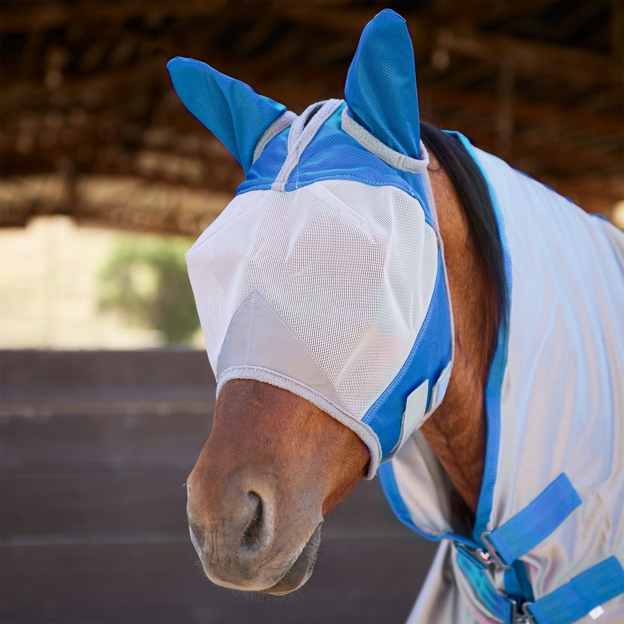 UV Protection Fly Mask – Majyk Brands
